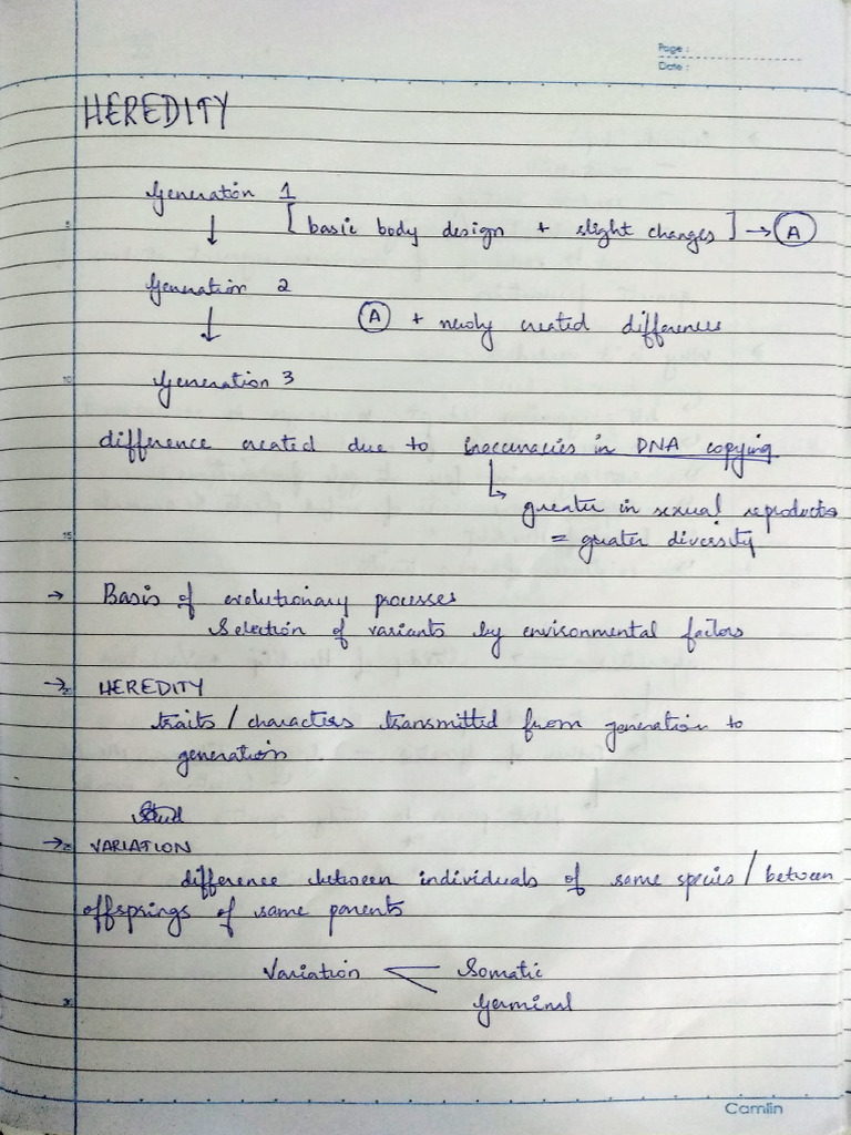 Heredity Notes | PDF
