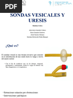 GUÍA de PROCEDIMIENTOS Control de La Diuresis | PDF | Vejiga urinaria ...