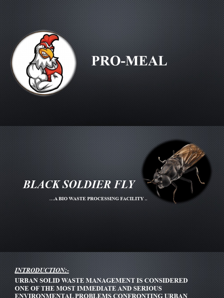 AEXT 391 Project Report | PDF | Waste | Economies