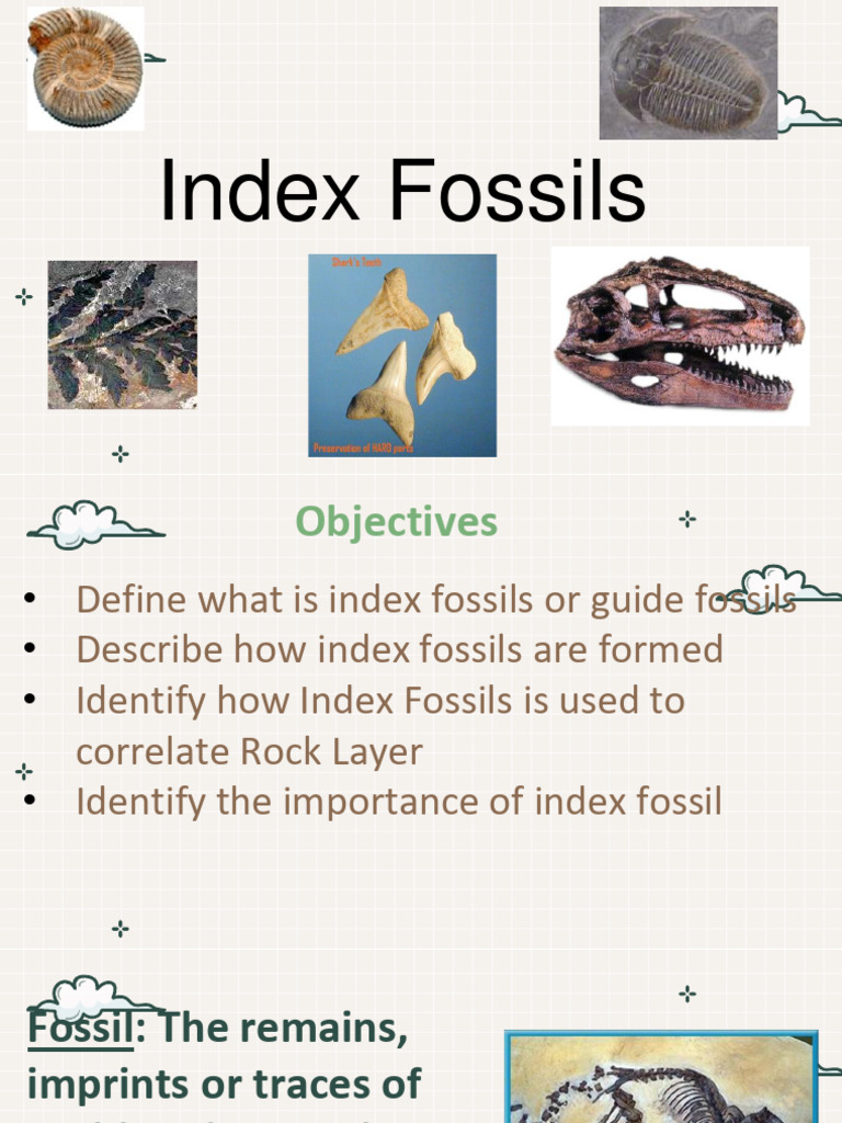 Index-Fossils 0118 | PDF | Fossil | Nature