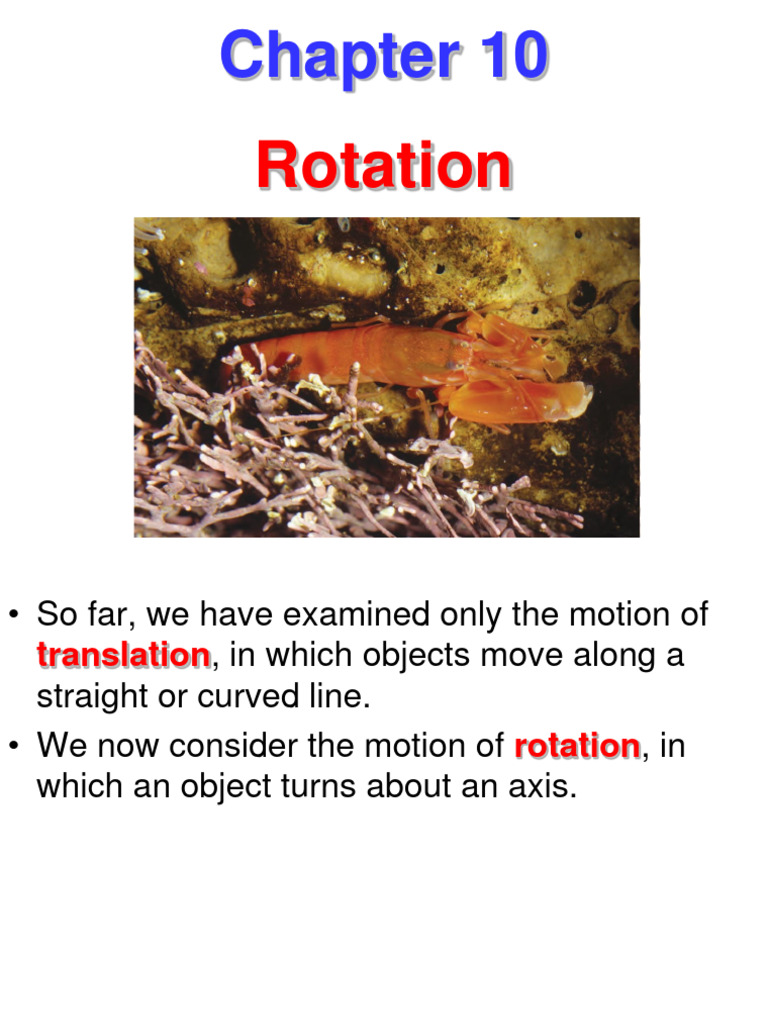 Chapter10 Ex | PDF | Rotation Around A Fixed Axis | Rotation