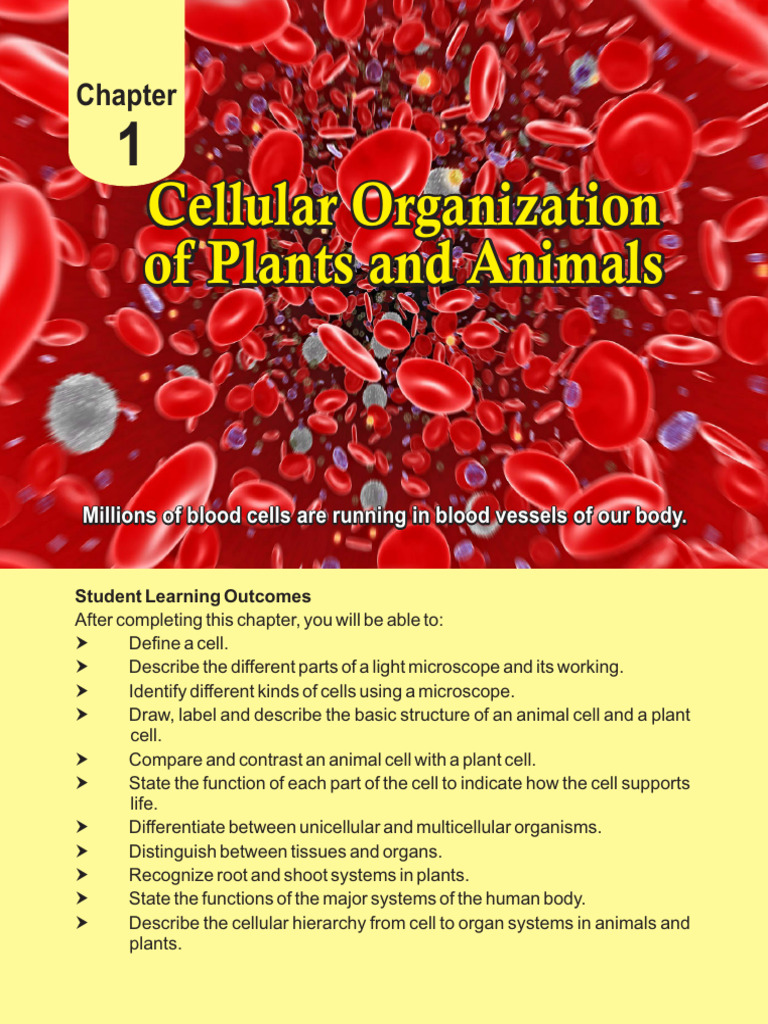 Science Chapter 1 | PDF | Tissue (Biology) | Cell (Biology)