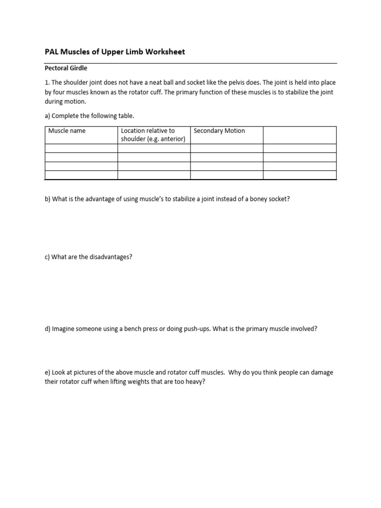Arm Muscles and Joint Function Worksheet | PDF | Sports & Recreation