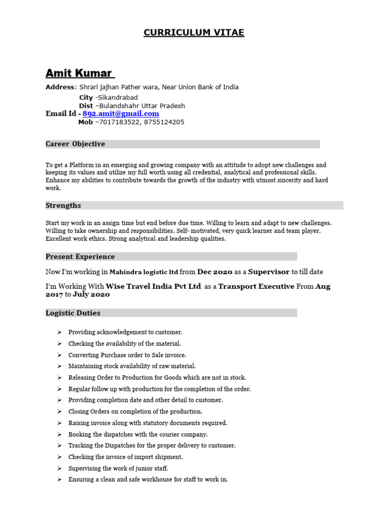 Amit Kumar CV | PDF | Logistics | Business