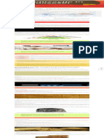 Naris Tloris Stranski Ris - VAJE | PDF