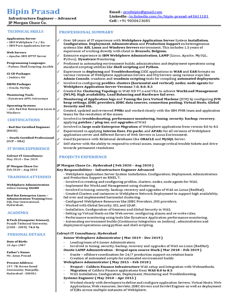 Bipin Prasad: Professional | PDF | My Sql | Computer Cluster