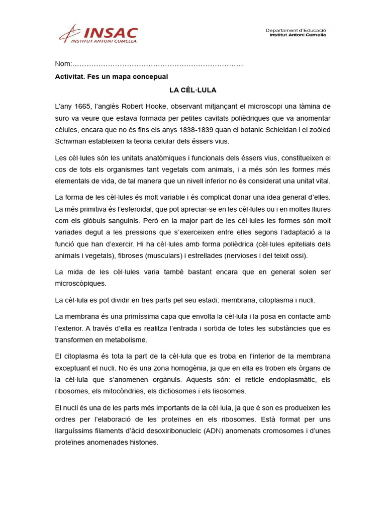 Text Per Fer Esquema | PDF