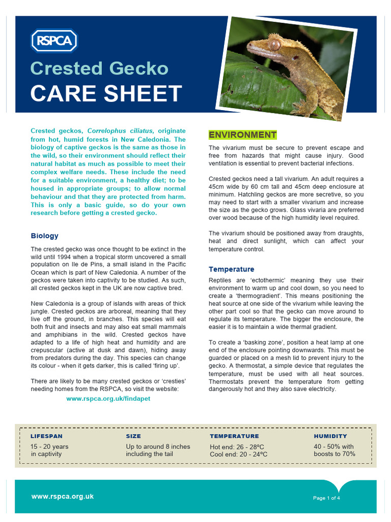 Crested Gecko Care Sheet (PDF 676KB) | PDF | Vivarium | Ultraviolet