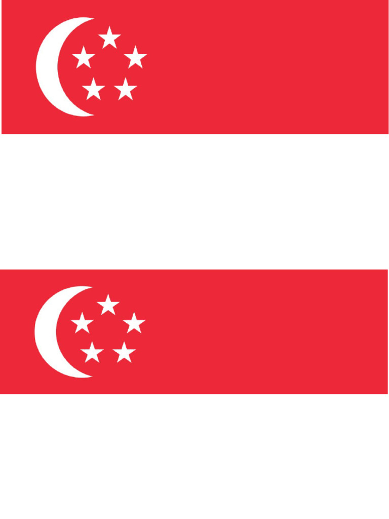 Flag | PDF