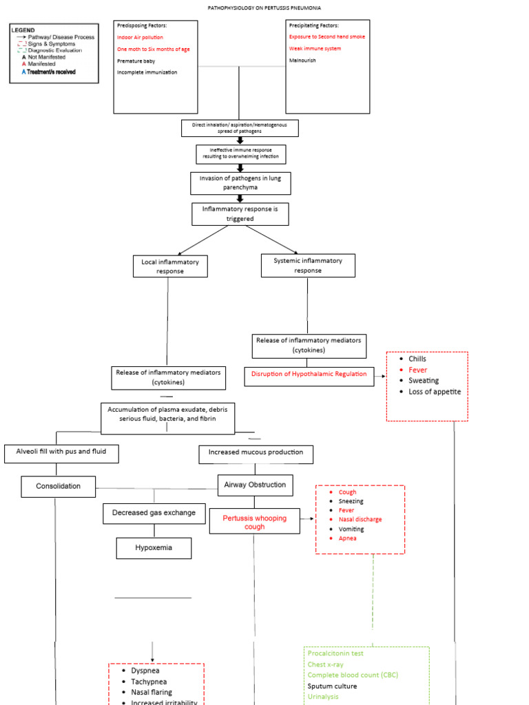 GRANDPAR-PATHOPHYSIOLOGY-4 (1) Pertusis Whooping Cough Secondary To ...