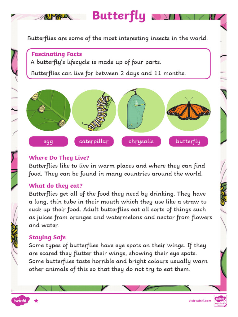 Butterfly Life Cycle and Facts for Kids | PDF | Butterfly | Pupa