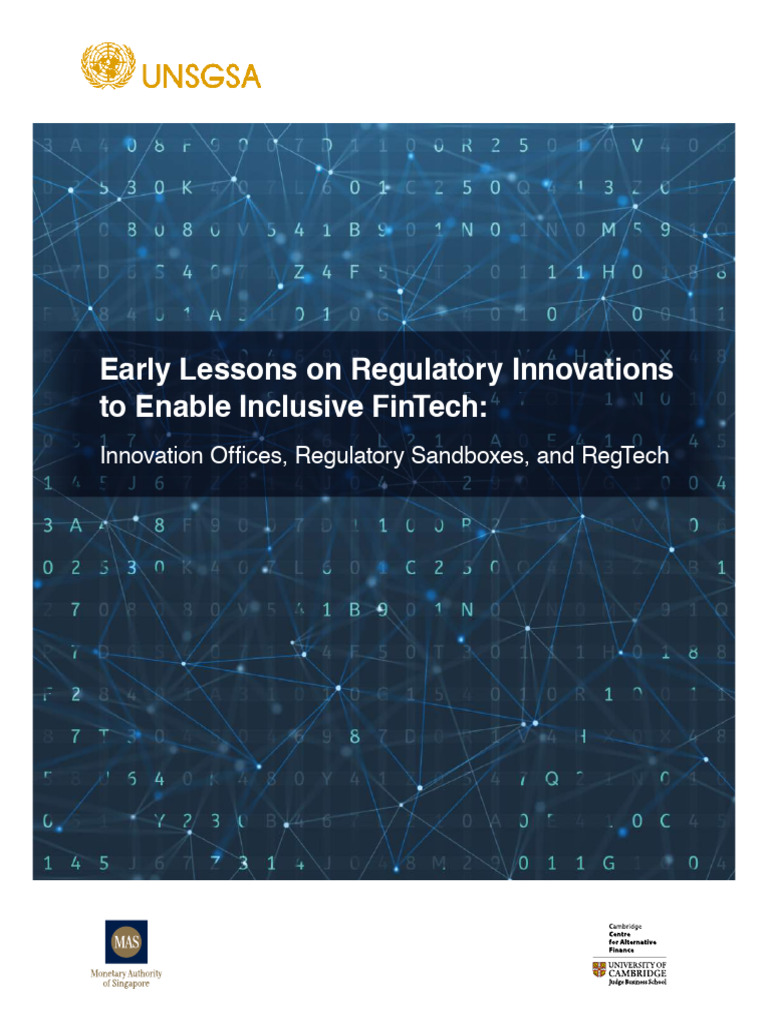 UNSGSA Report 2019 Final-Compressed | PDF | Loans | Financial Inclusion