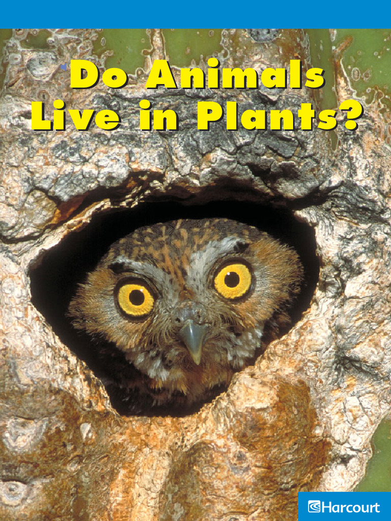 Do Animals Live in Plants | PDF | Intellectual Works | Intellectual ...