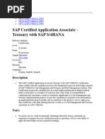 Sap Ihc - S4 | PDF | Accounts Payable | Payments