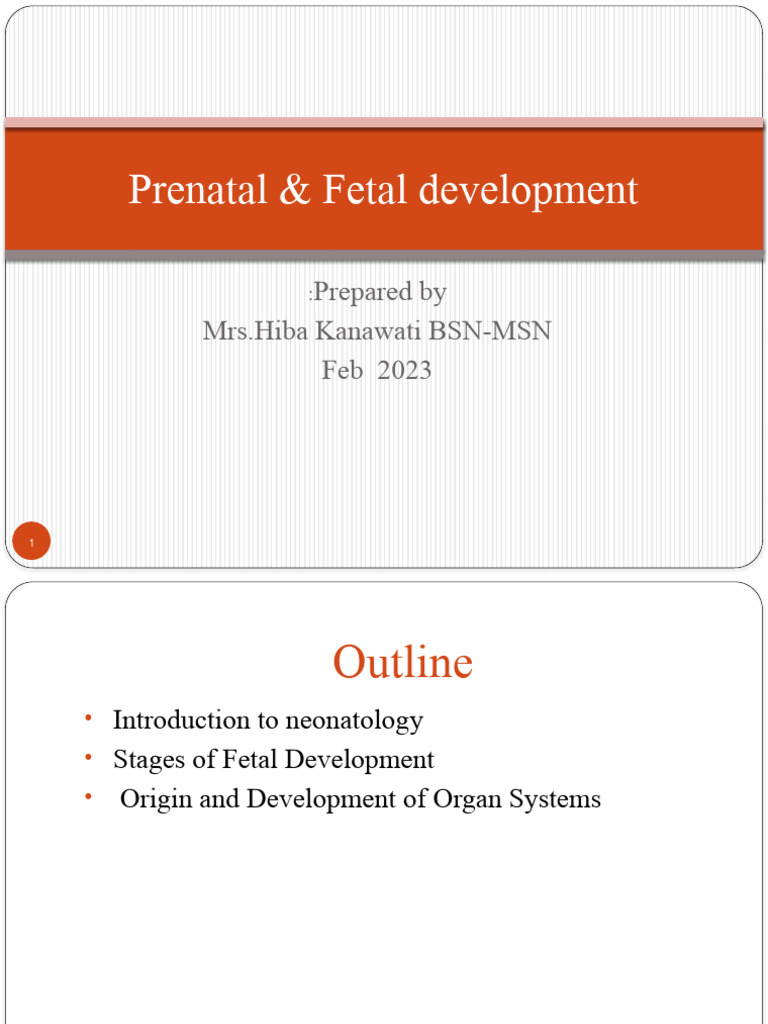 1-Prenatal & Fetal Development-93666 | PDF | Atrium (Heart) | Fetus