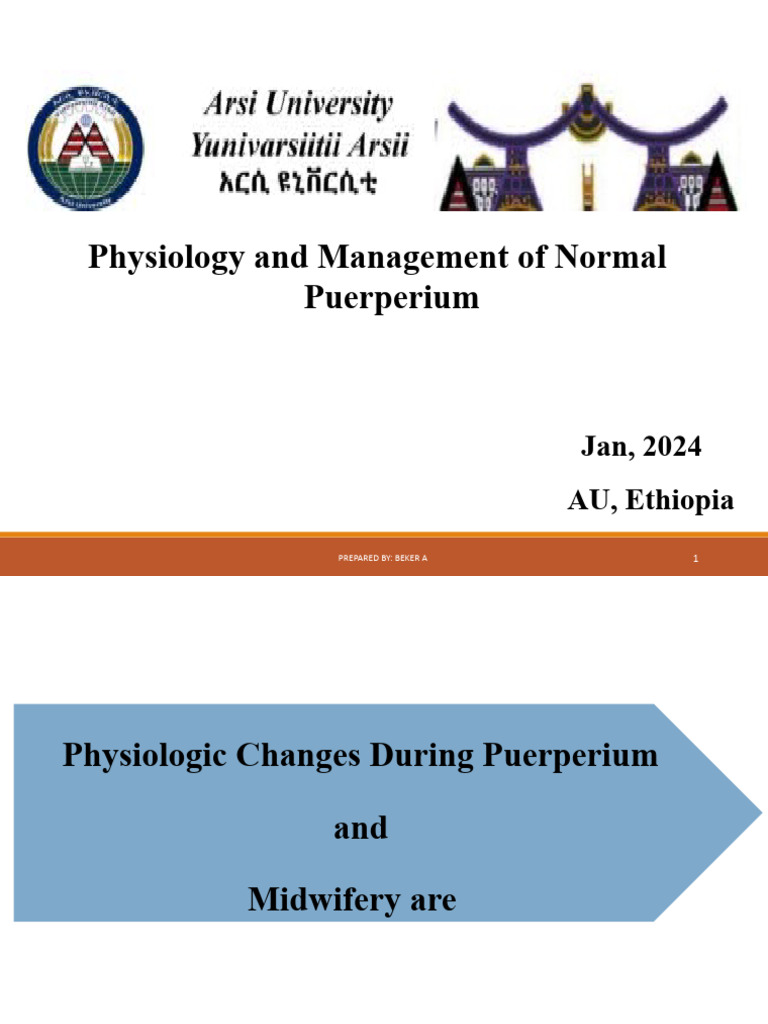 Normal Puerperium | PDF | Postpartum Period | Childbirth