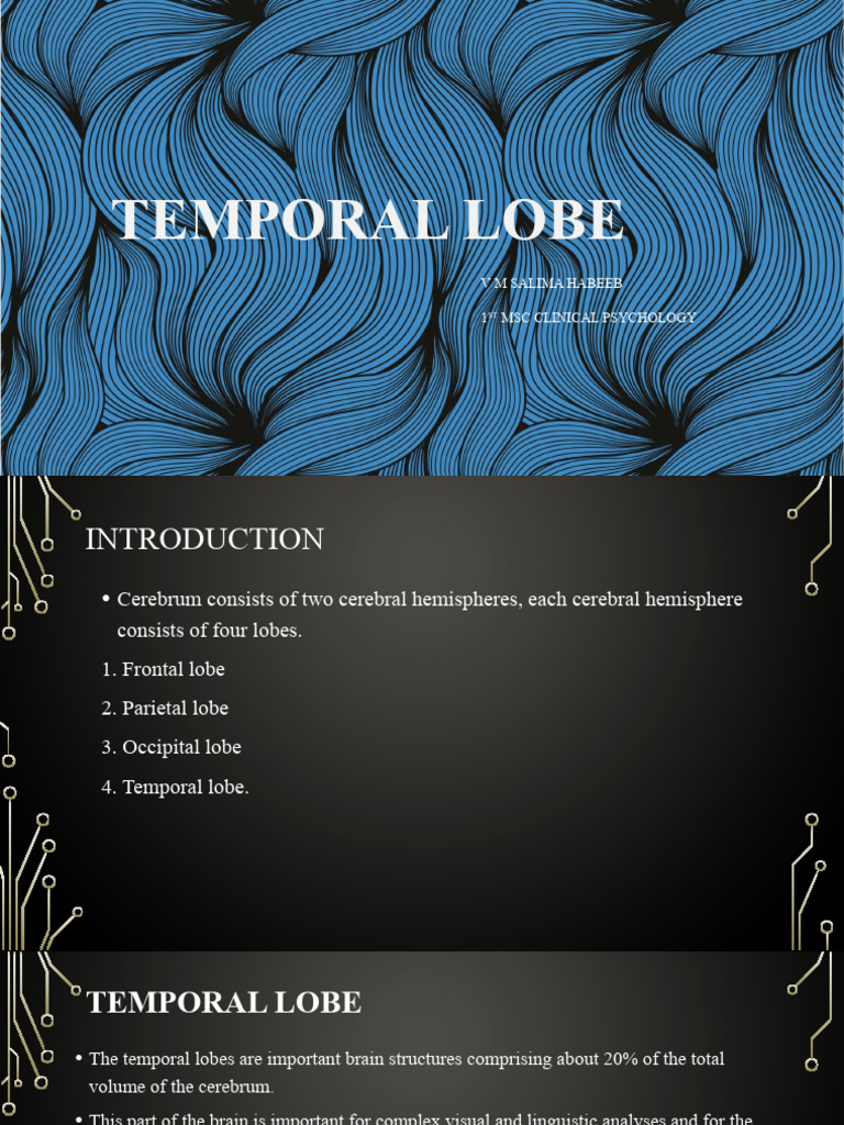 Temporal Lobe | PDF | Temporal Lobe | Hippocampus