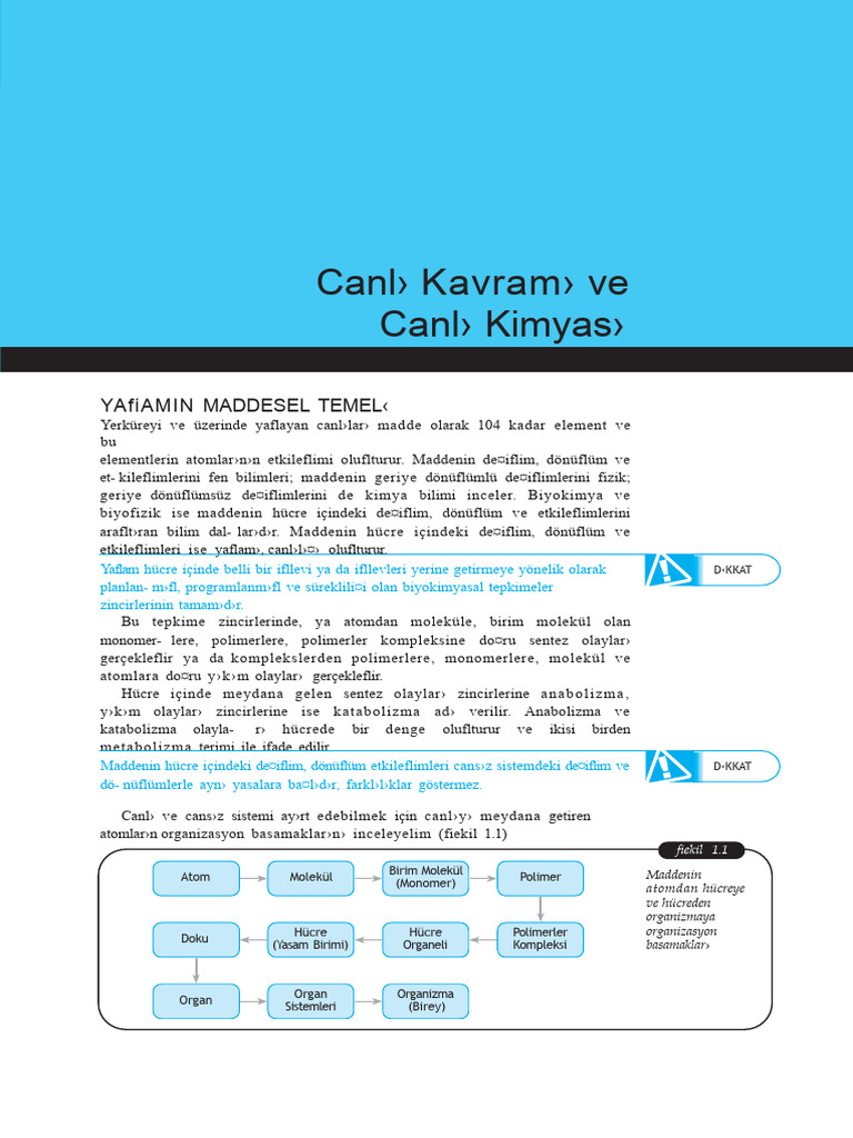 Canl Kavram Ve Canl Kimyas : Yafiamin Maddesel Temel | PDF