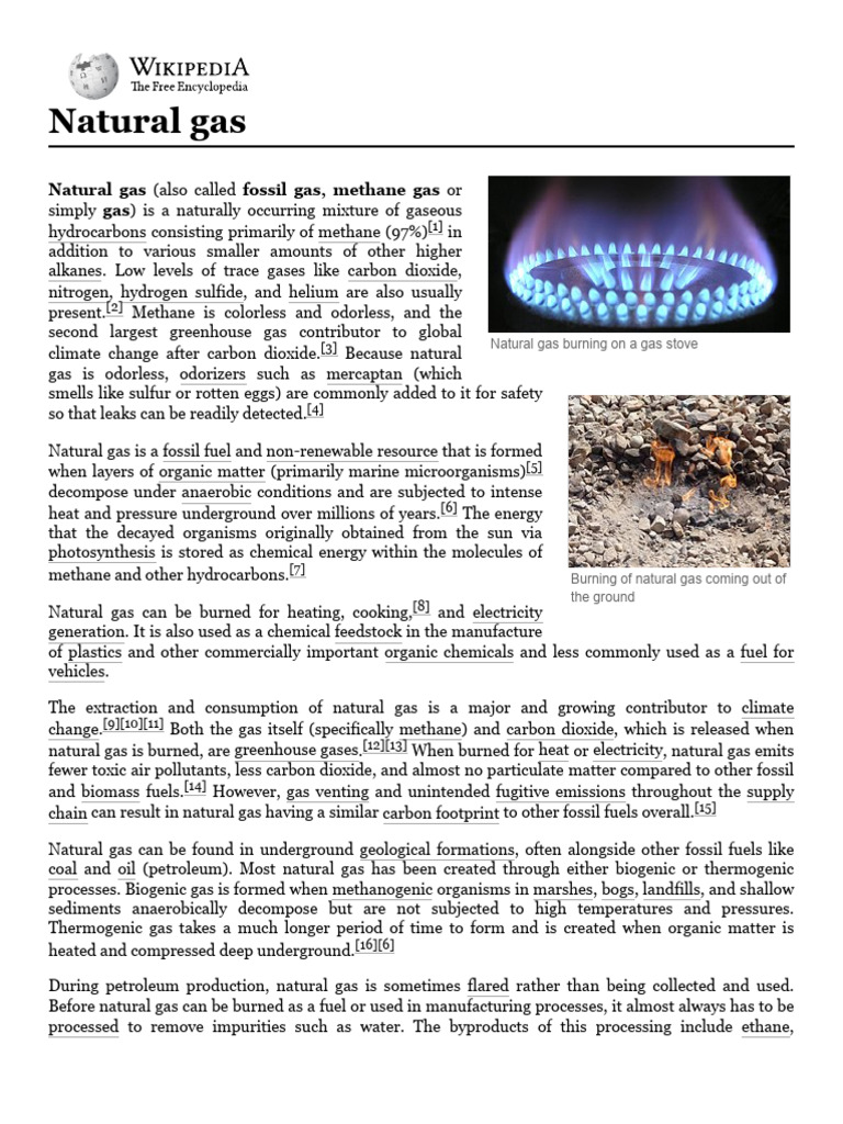 Natural Gas | PDF