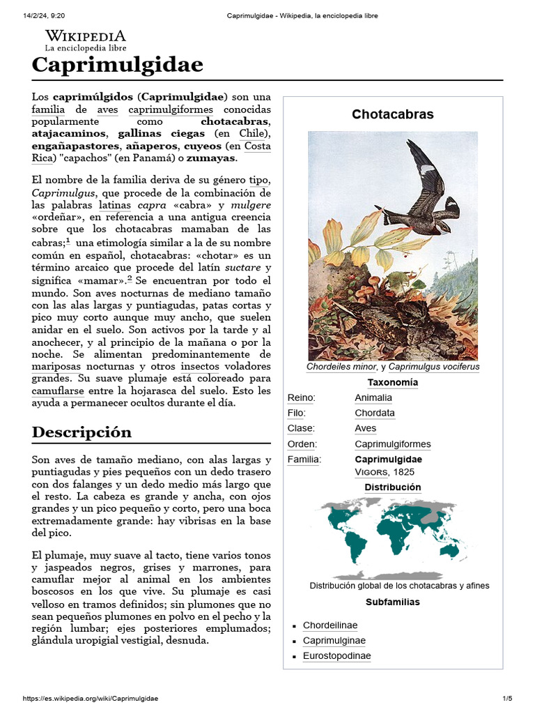 Avess | PDF | Ciencias sociales | Ciencia y matemáticas