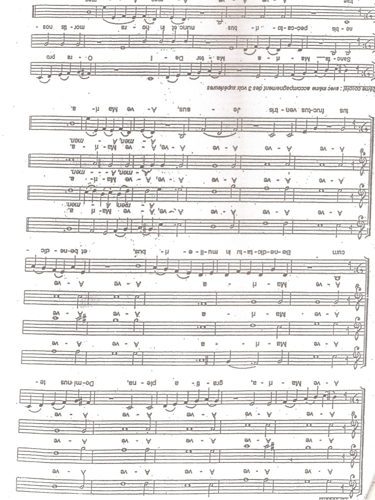 Numérisation 20240116 | PDF