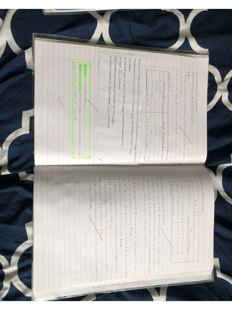 KS3 Movement of Substances and Diffusion | PDF