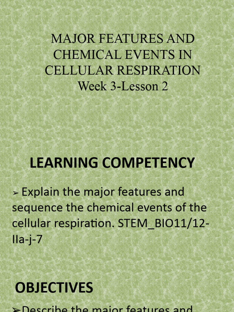 Quarter 2 Week 3 Lesson 2 Week 4 Lesson 1 | PDF | Cellular Respiration ...