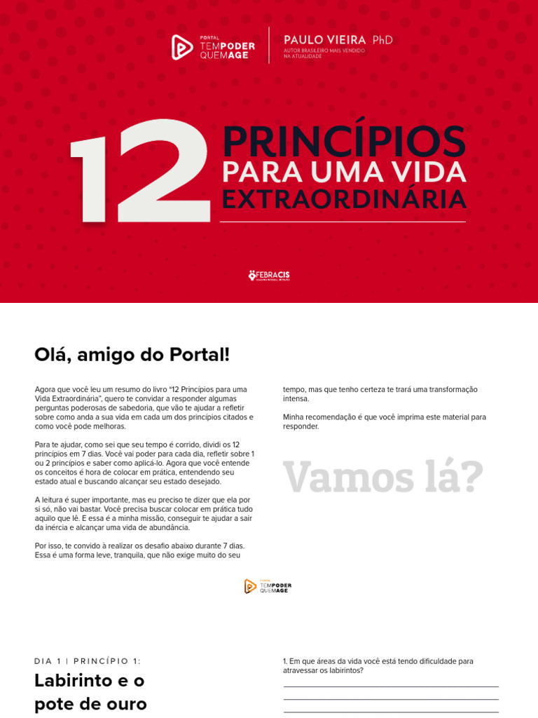 12 Princípios para Uma Vida Extraordinária - Paulo Vieira | PDF