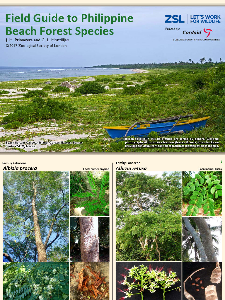 12 Field Guide - Philippine Beach Forest Species | PDF | Plants | Botany