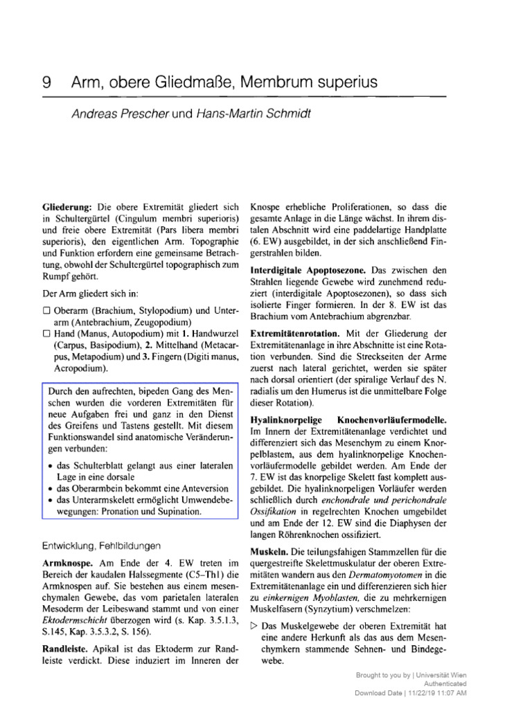 Arm Obere Gliedmae Membrum Superius | PDF
