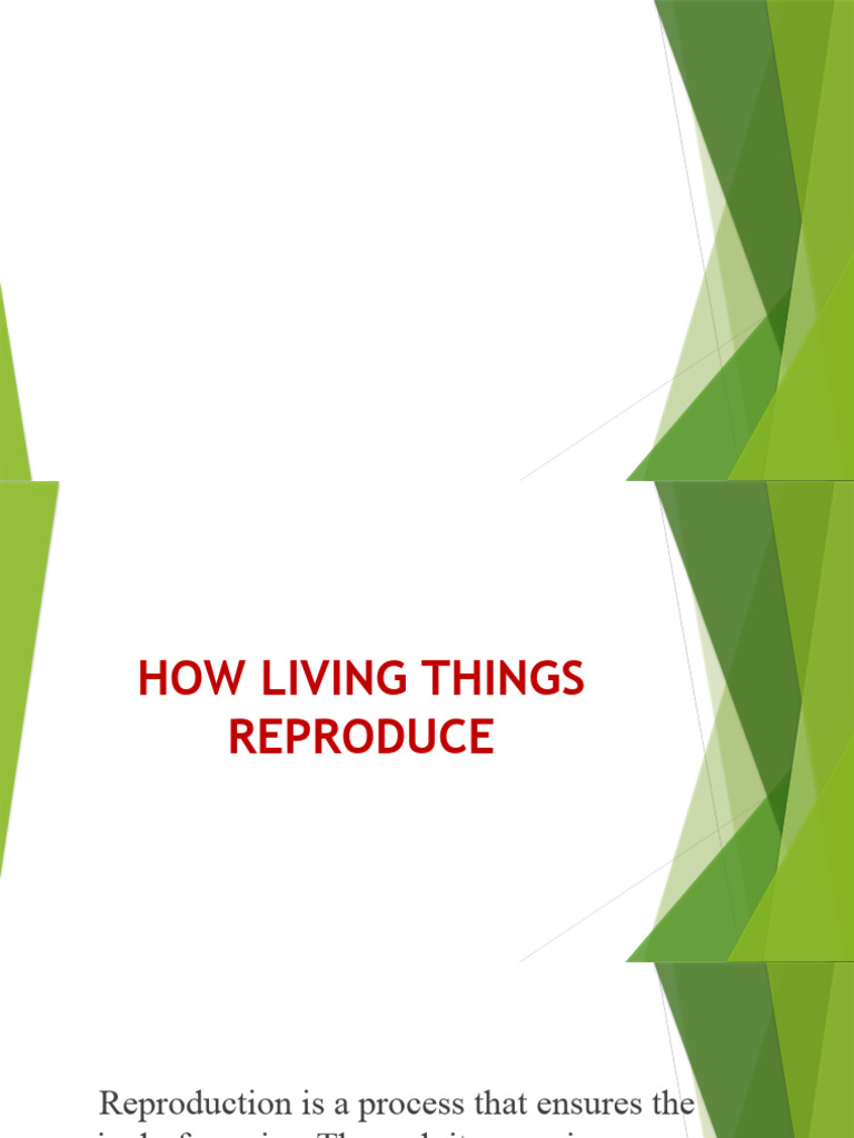 Reproduction in Living Organisms Explained | PDF | Reproduction ...