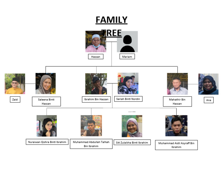 Family Tree: Hassan Mariam | PDF