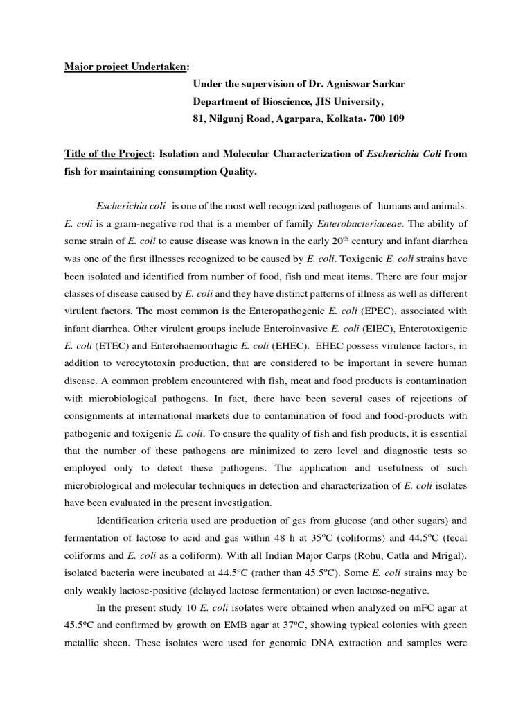 Isolation and Molecular Characterization of Escherichia Coli From Fish ...