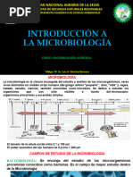 Conidios: Dispersión y Morfogénesis | PDF | Morfogénesis | Hongo
