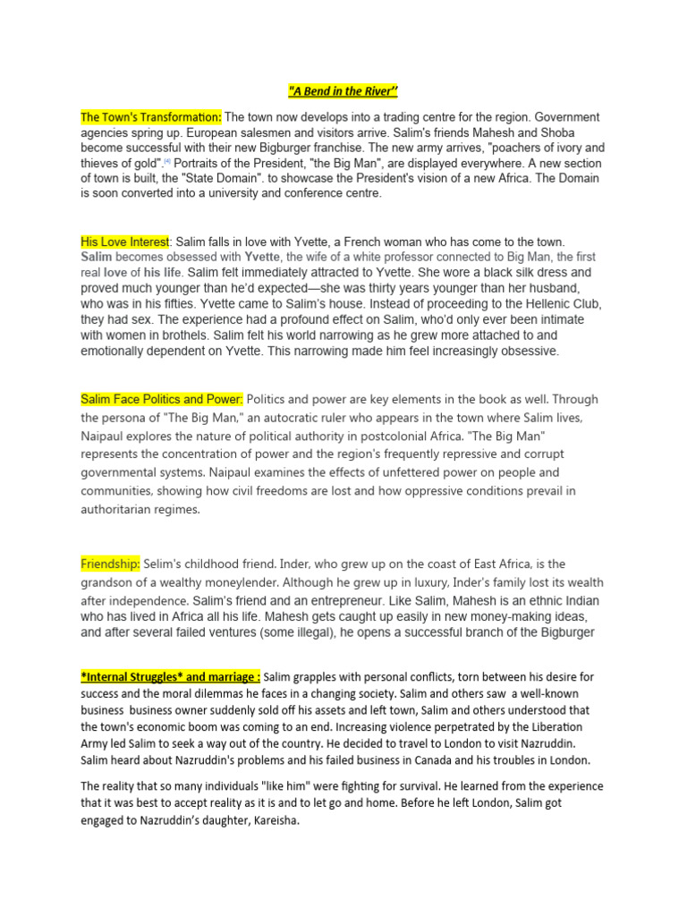 Salim Character A Bend in The River | PDF