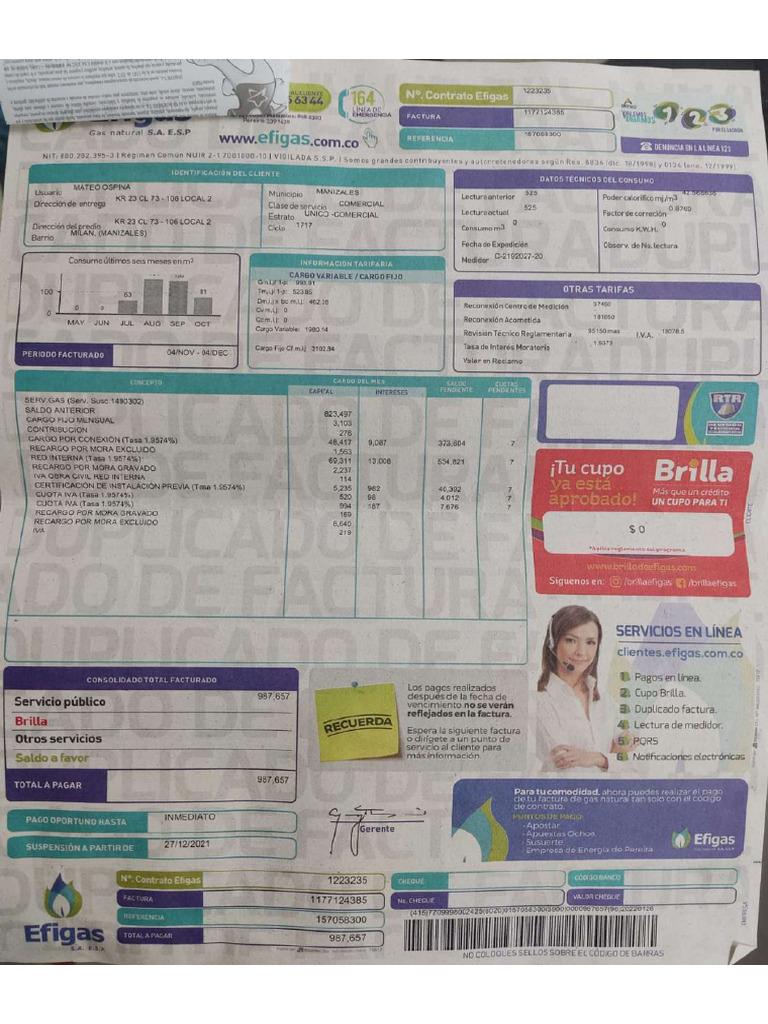 Factura Gas | PDF