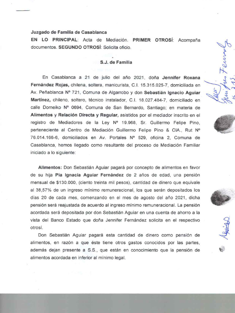 Acta de Med | PDF