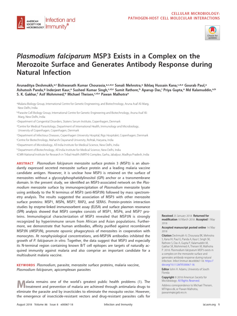 MSP 3 | PDF | Protein Purification | Western Blot