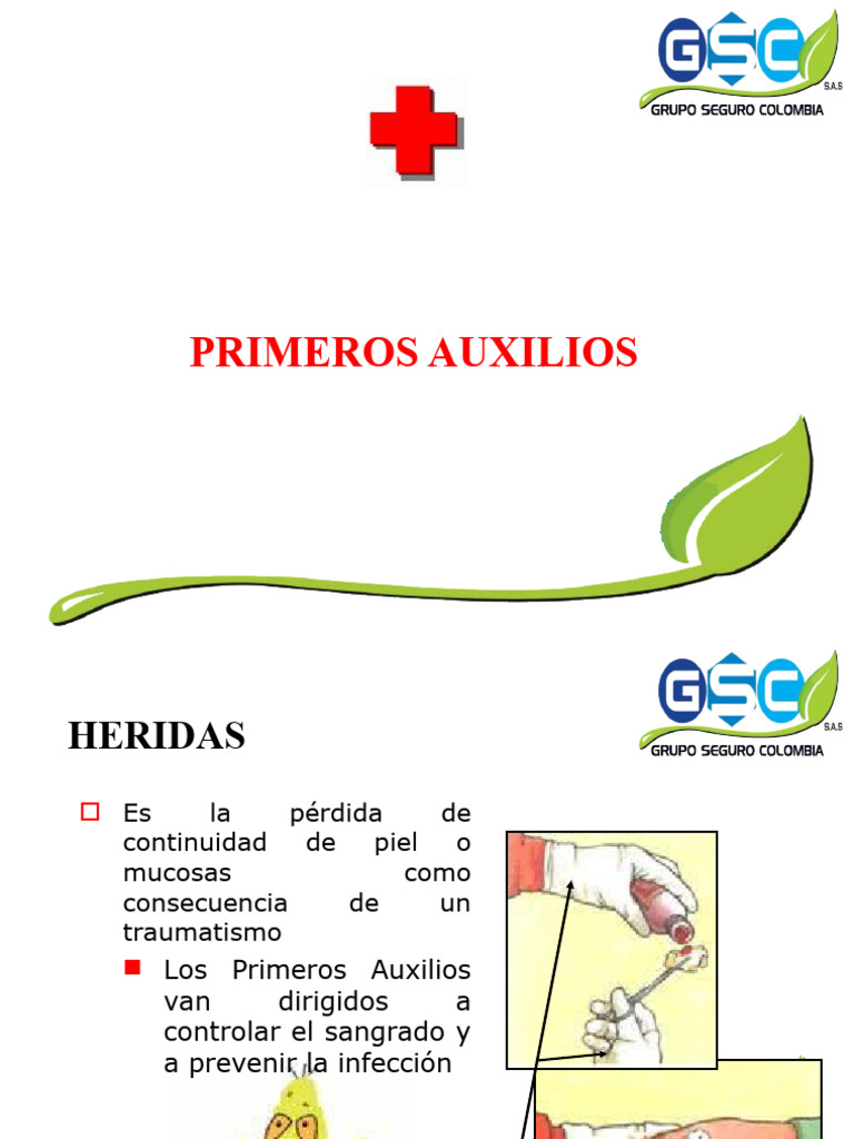 Capacitacion de Primeros Auxilios | PDF | Primeros auxilios | Herida