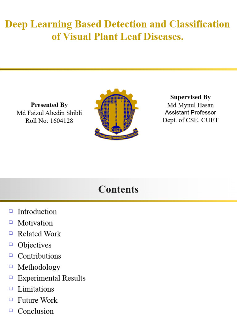 FinalPresentation | PDF | Deep Learning | Learning