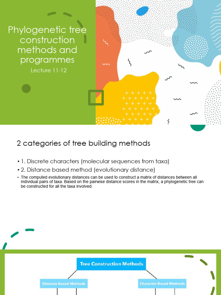Phylogenetic Tree Construction Methods | PDF | Resampling (Statistics ...