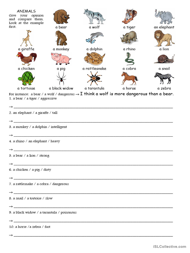 Comparing Animals | PDF
