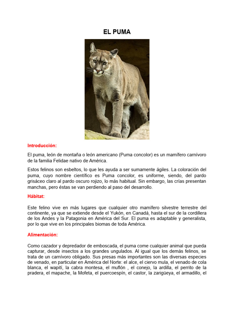 El Puma | PDF