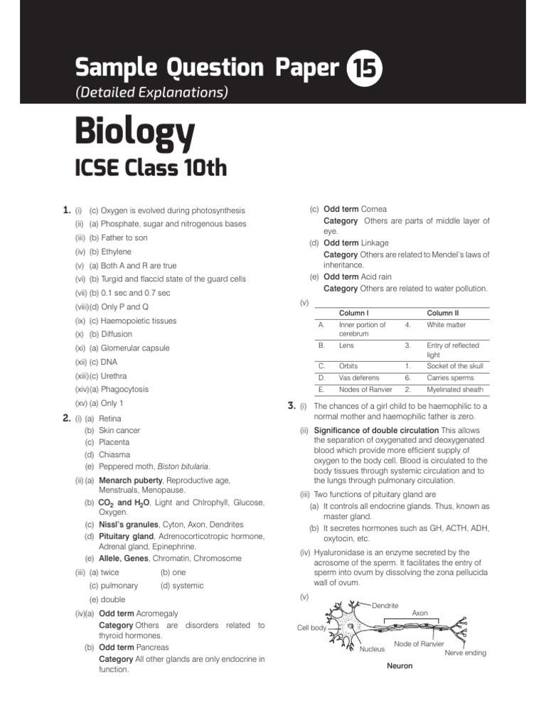 ICSE BIO Sample Paper - 15 - Sol | PDF | Dominance (Genetics ...