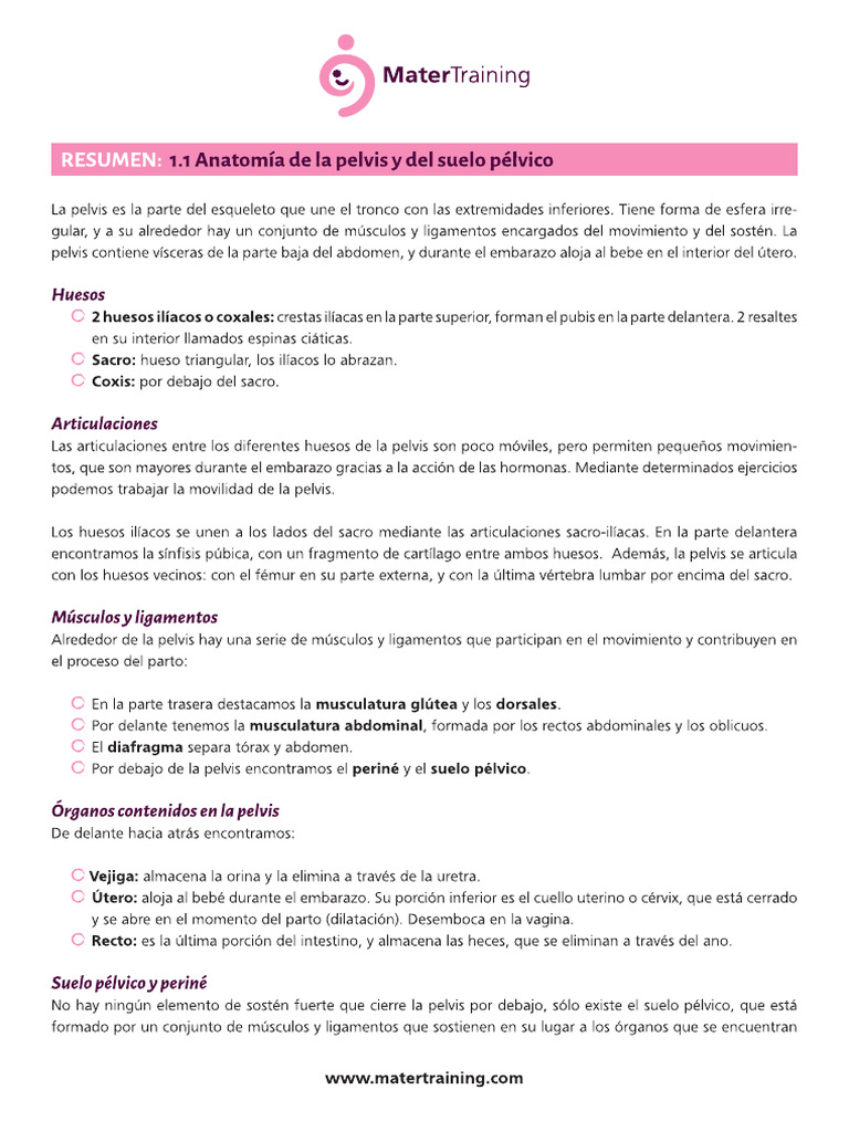 1 1 Anatomia De La Pelvis Pdf