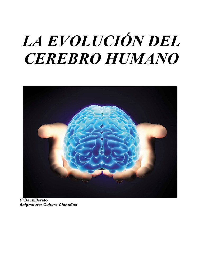 La Evolución Del Cerebro | PDF