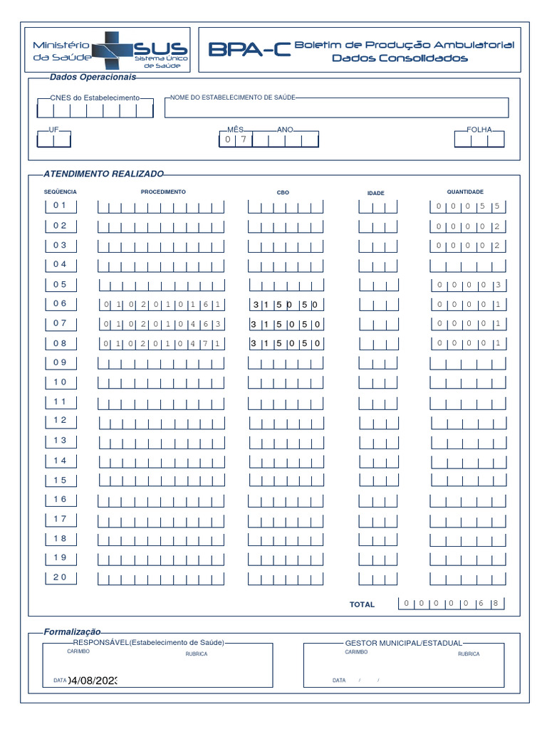 Formulario BPA-C Editavel | PDF