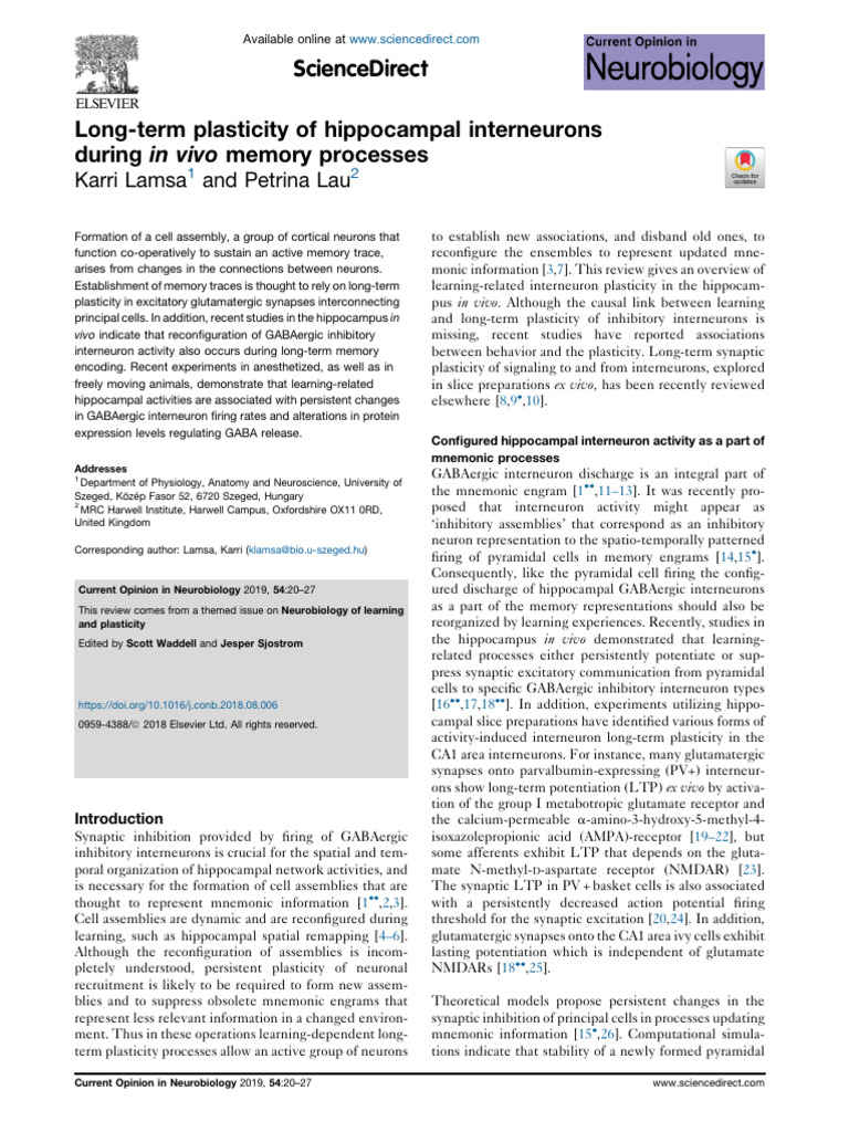 Memoria Y Plasticidad Neuronal Pdf Synaptic Plasticity Hippocampus