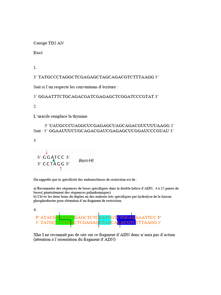 Corrigé TD2 AN | PDF