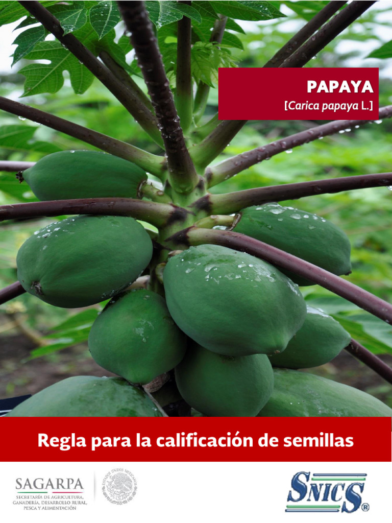 Papaya | PDF | Flores | Sexo